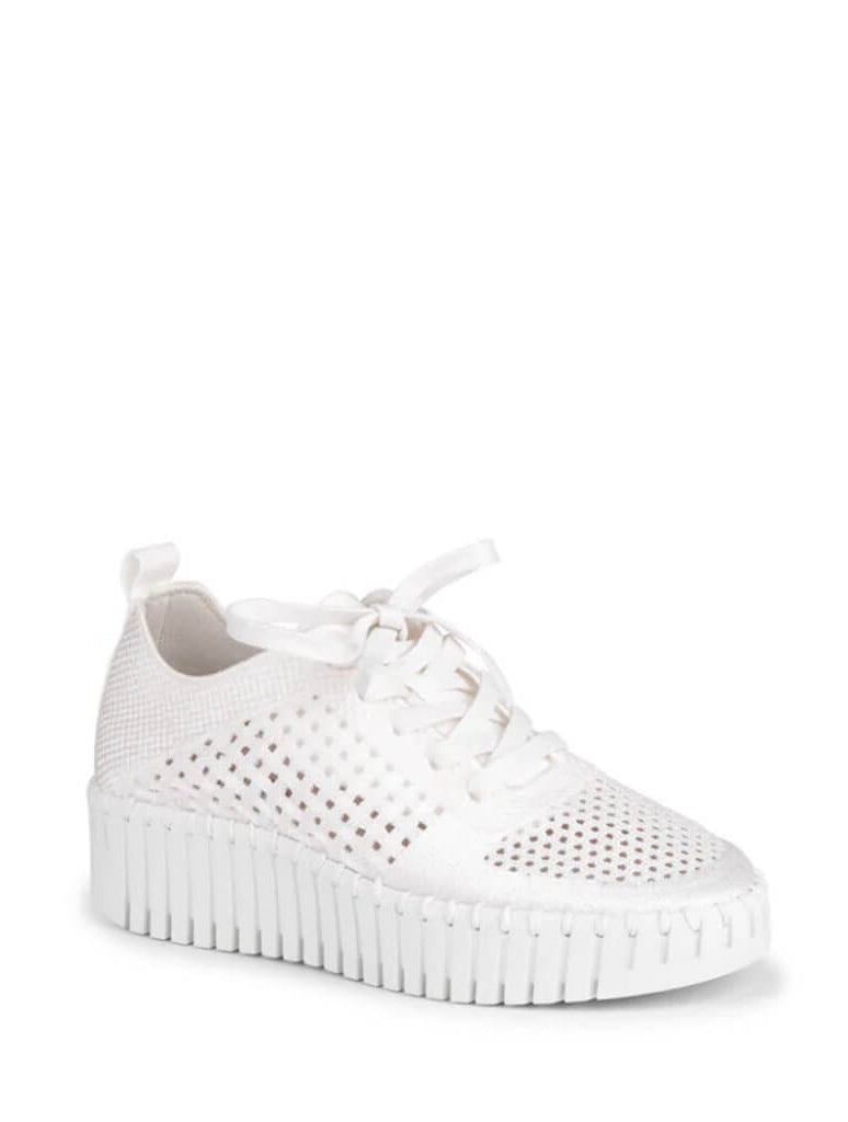 Ilse Jacobsen Tulip Lace Up Sneaker – JAYNE Boutique